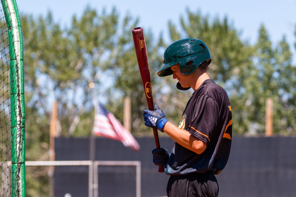 Learn About Wood Archives - Viper Bats Blog